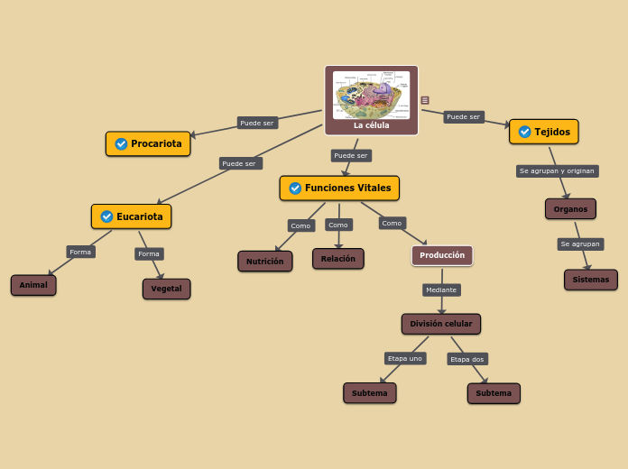 La célula - Mind Map